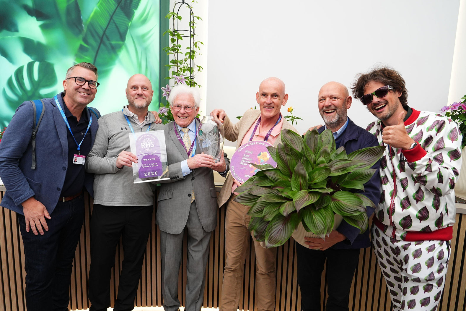 Hosta RED NINJA - RHS Chelsea Plant of the Year 2026 | DutchGrown™