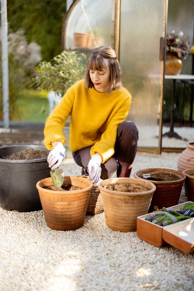 How To Plant Flowers For Beginners [8 Steps]