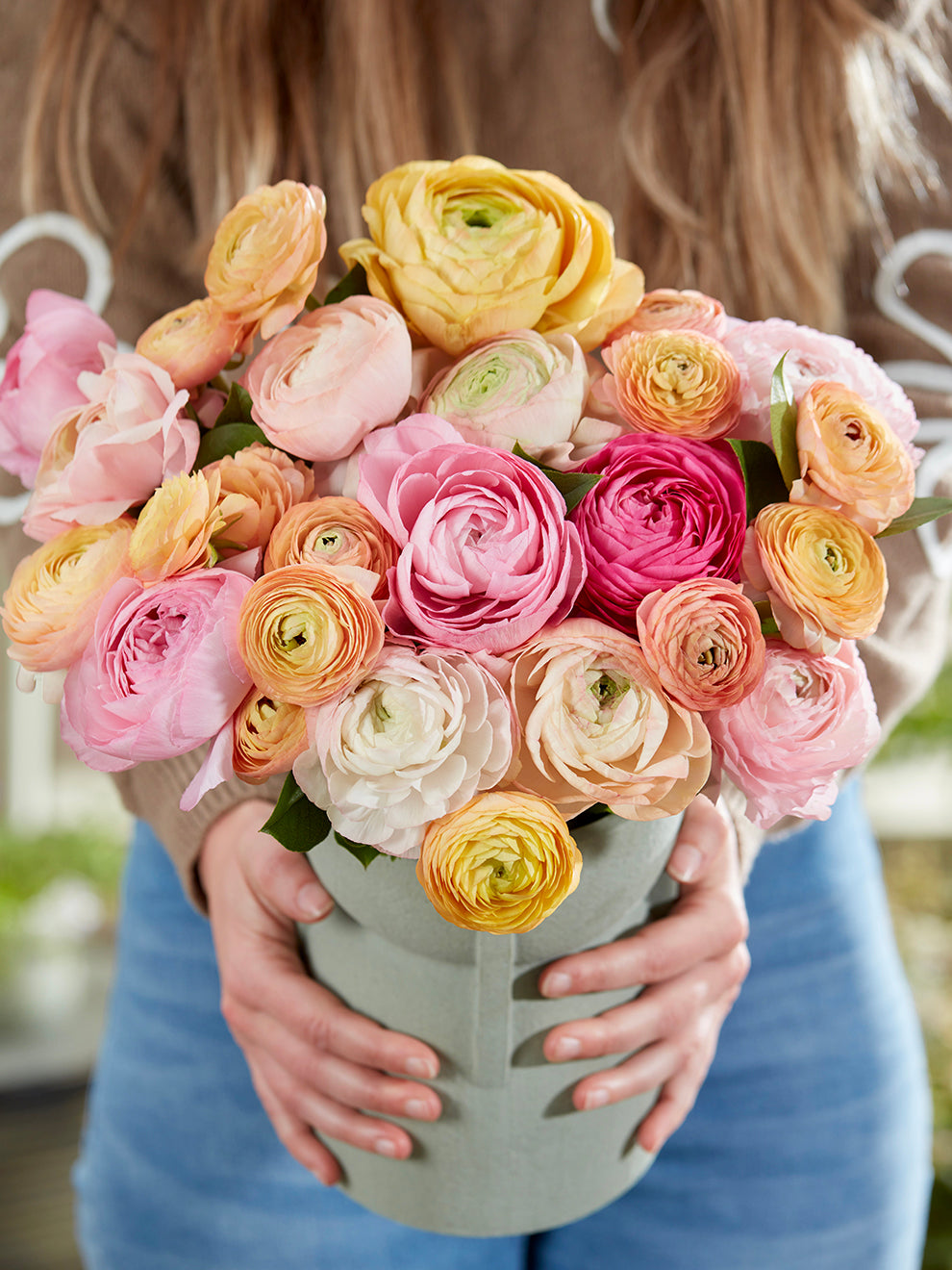 Ranunculus Pauline Pastel | Ranunculus for Spring Planting | DutchGrown™