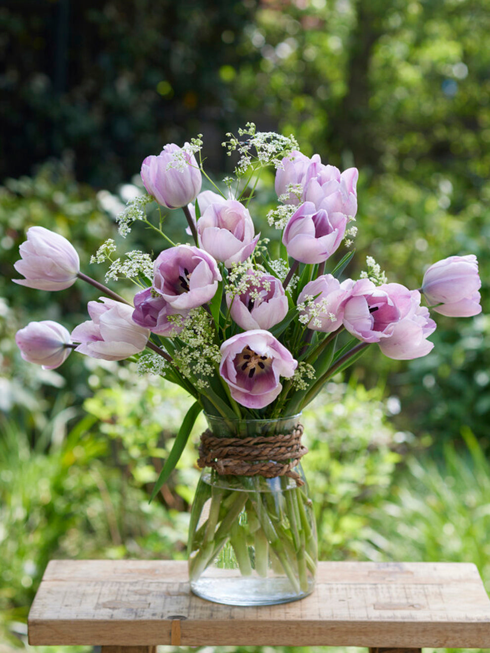 Tulip Bulbs 'Jacuzzi' | DutchGrown™ UK